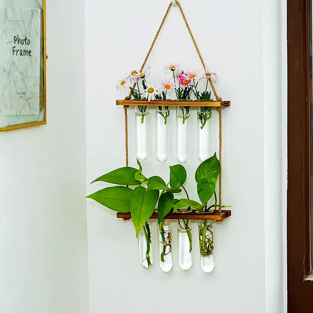 Wall Hanging Propagation Tubes – BAJE HOME